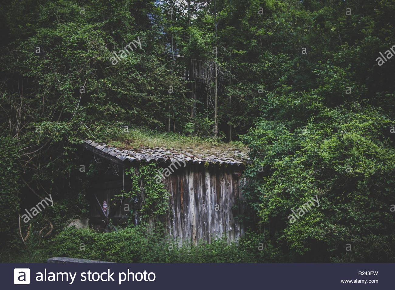 Ramshackle Hut Stock Photos & Ramshackle Hut Stock Images - Alamy