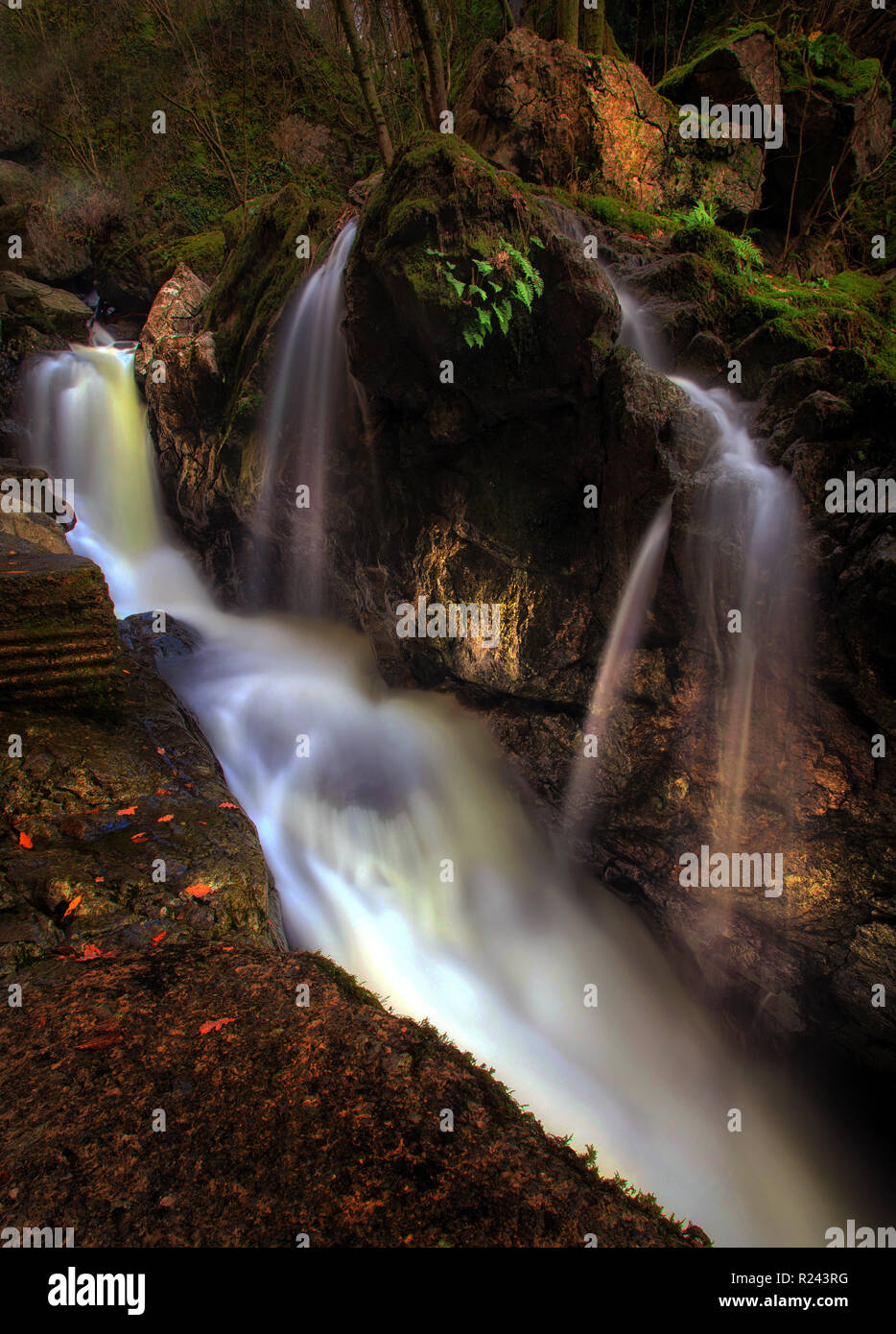 Waterfall behind Dinas Rock Stock Photo - Alamy