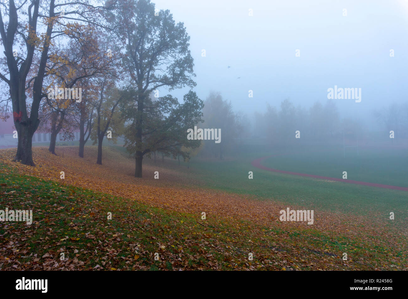 Dense mist hi-res stock photography and images - Alamy