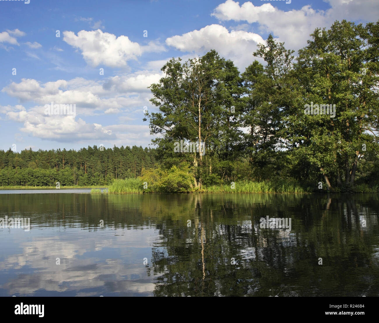 Rospuda lake near Augustow. Poland Stock Photo - Alamy