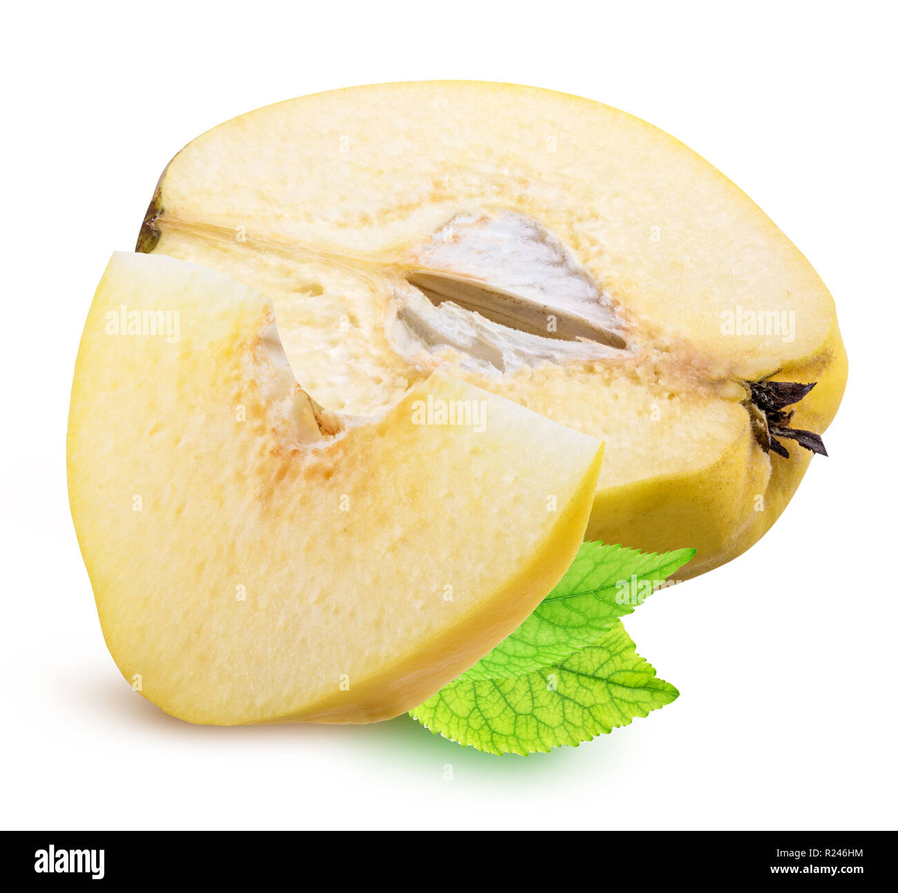 Fresh quince isolated on white background with shadow. Clipping path ...