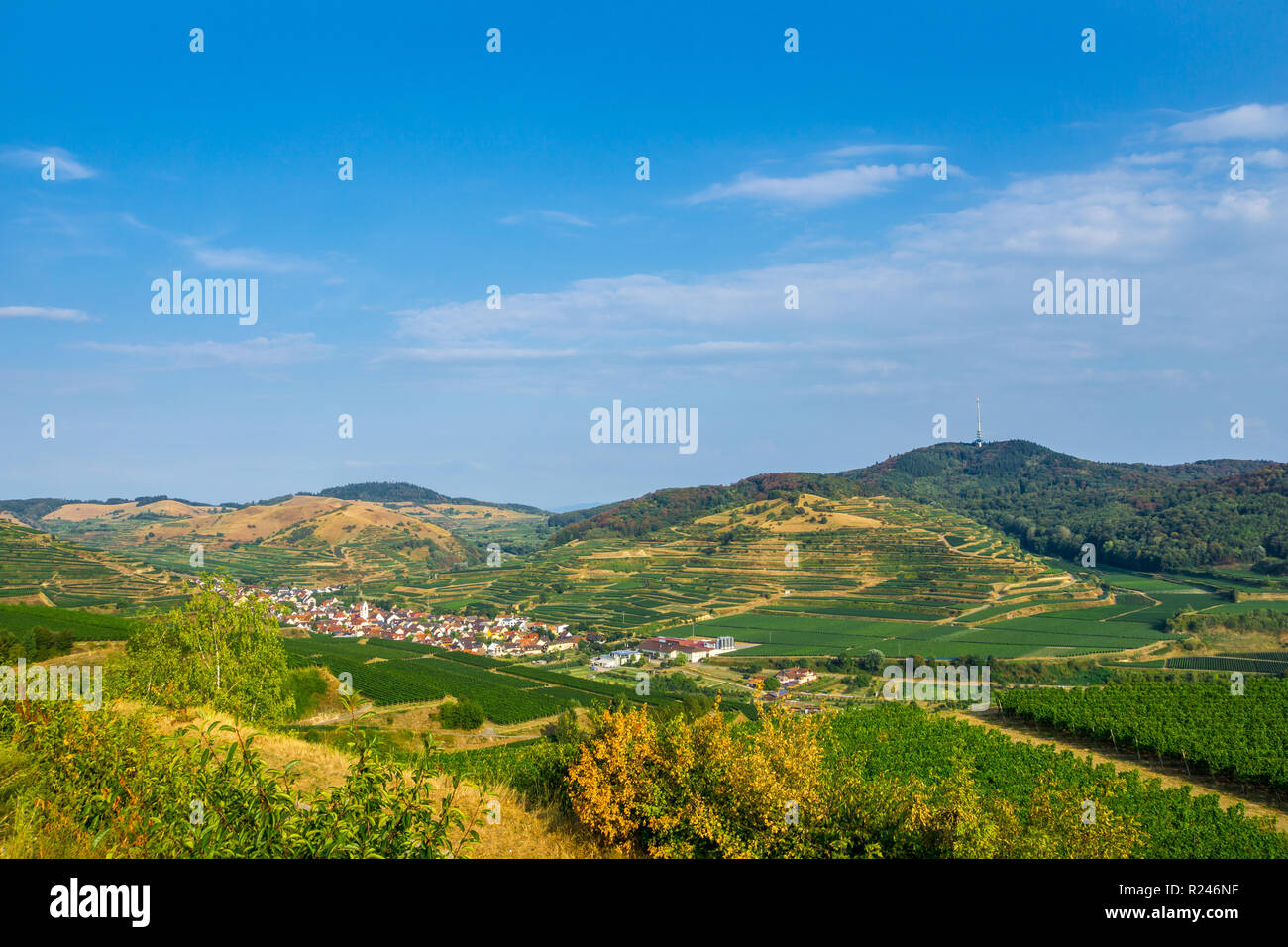 Vogtsburg oberbergen hi-res stock photography and images - Alamy