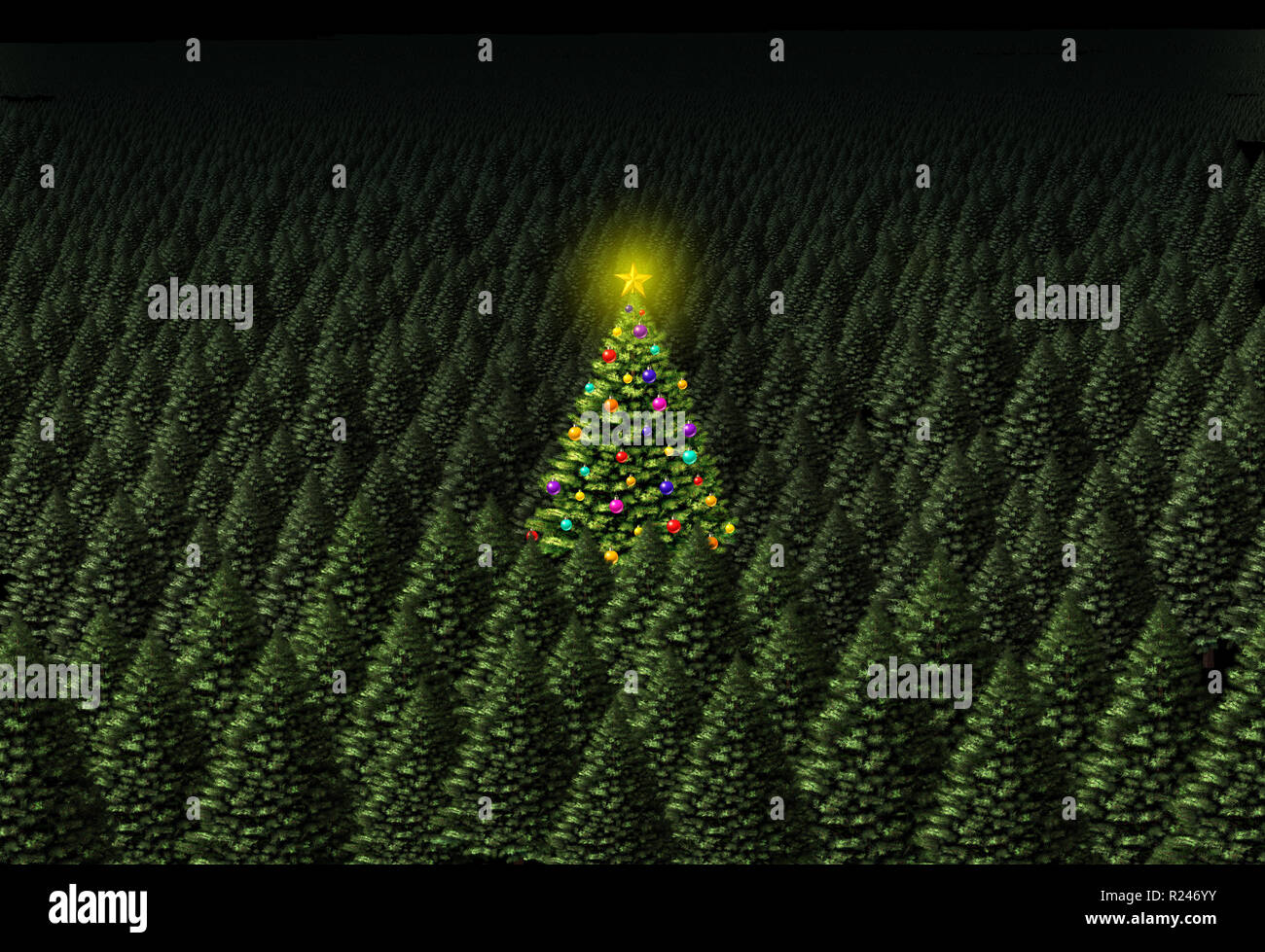 Concept of Christmas tree as a decorated pine in a green forest on a ...