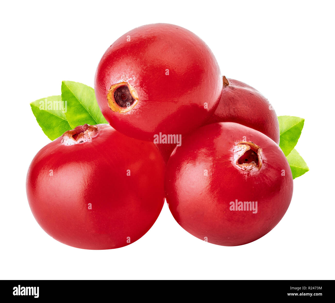 Red cranberry isolated on white background Stock Photo - Alamy