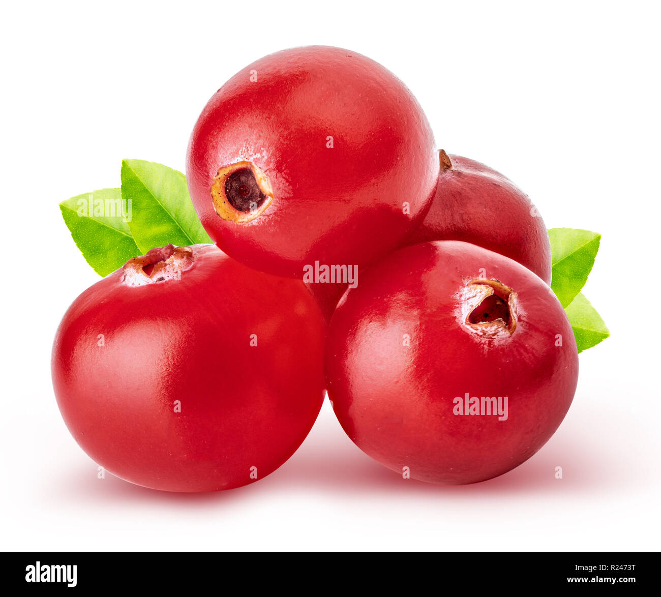 Red cranberry isolated on white background Stock Photo - Alamy