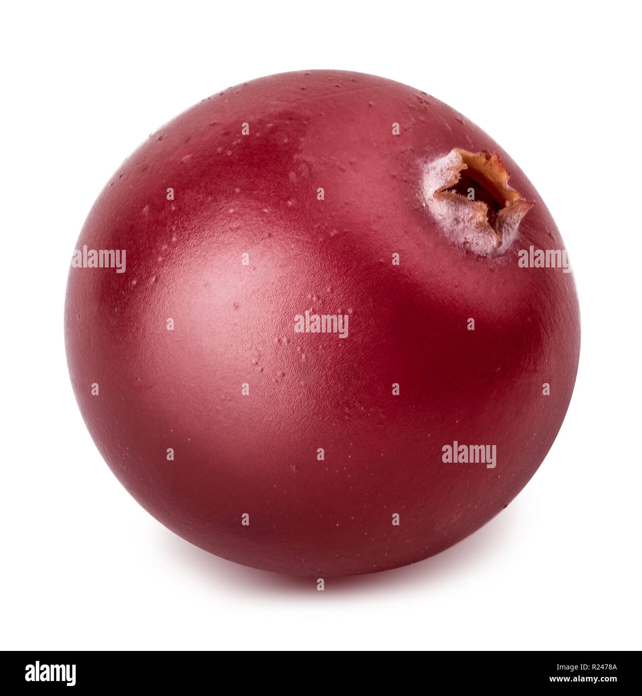 Red cranberry isolated on white background Stock Photo - Alamy