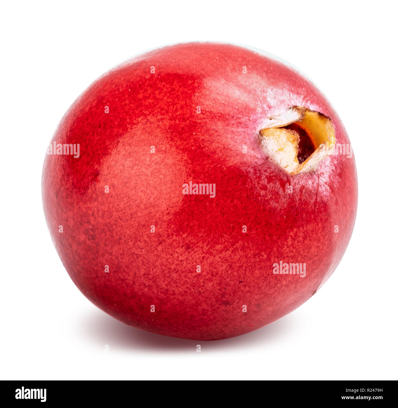 Red cranberry isolated on white background Stock Photo - Alamy