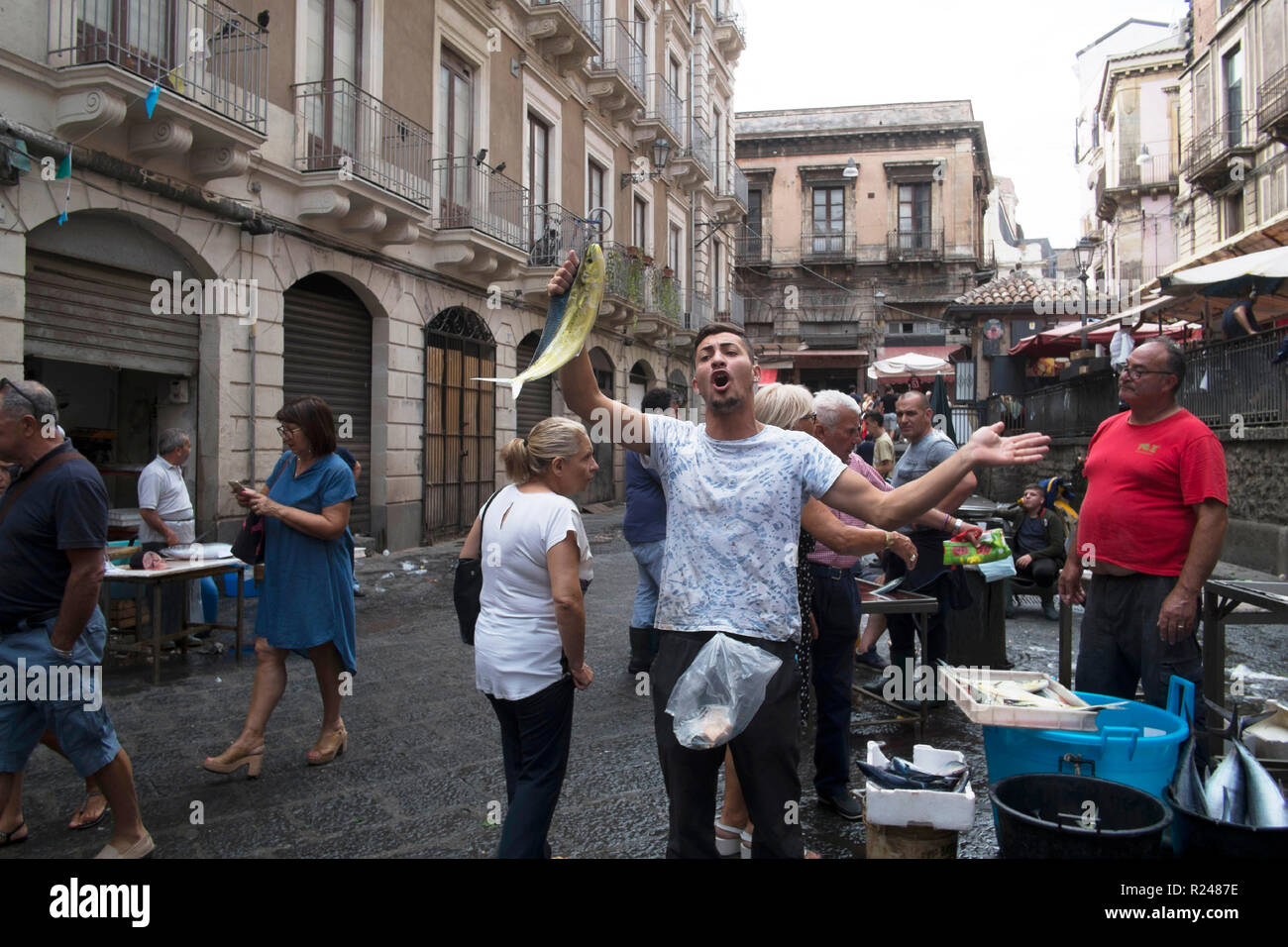 Catania fish market, Catania, Sicily, Italy, Europe Stock Photo - Alamy