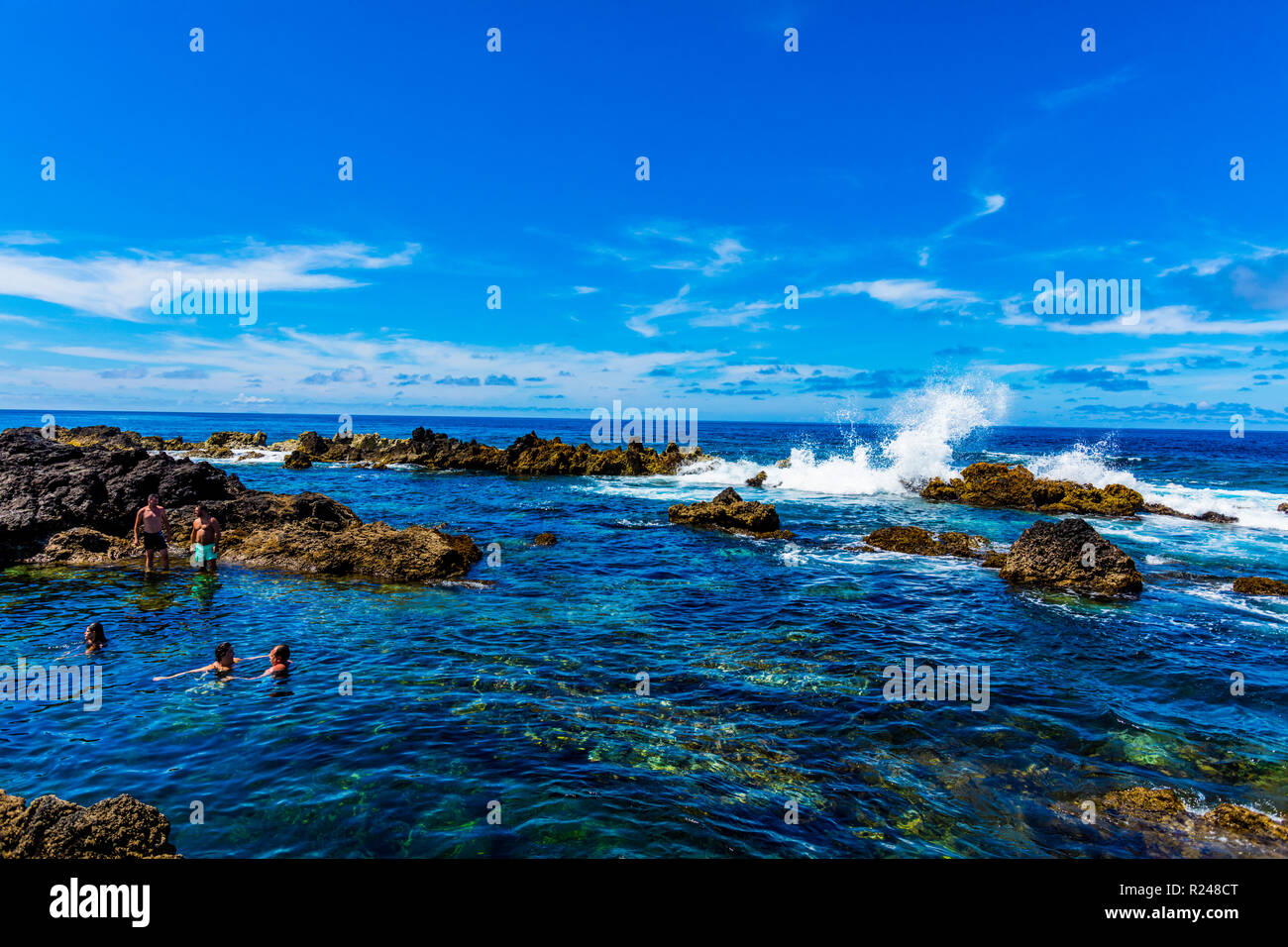Azores terceira biscoitos hi-res stock photography and images - Alamy