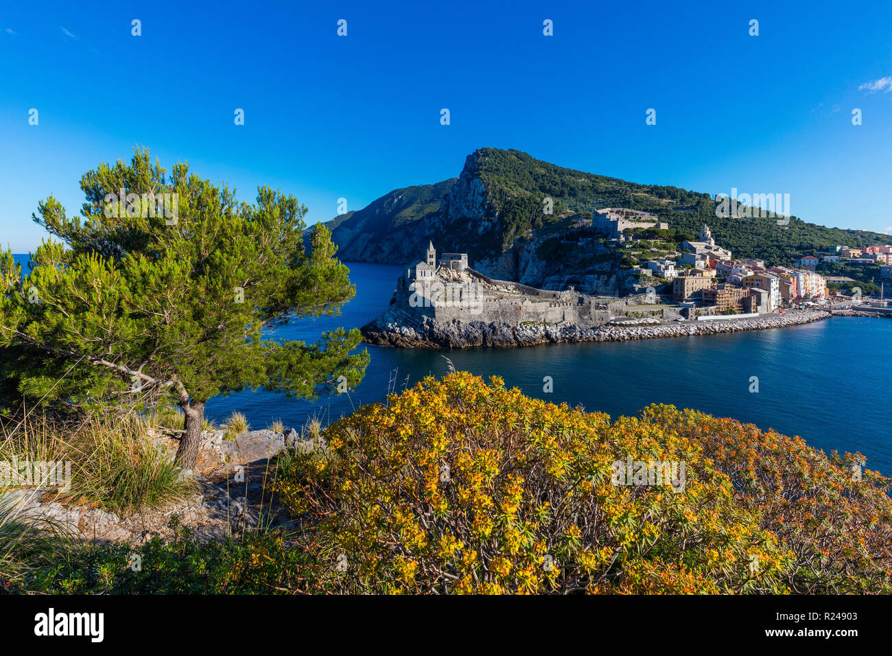 Island of Palmaria, view of Portovenere from Palmaria, Liguria, Italy ...