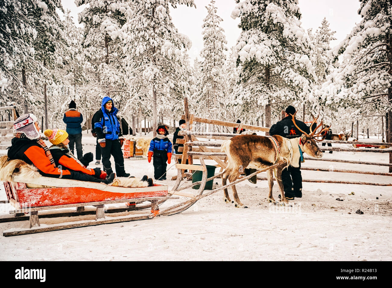 Sami man caribou hi-res stock photography and images - Alamy