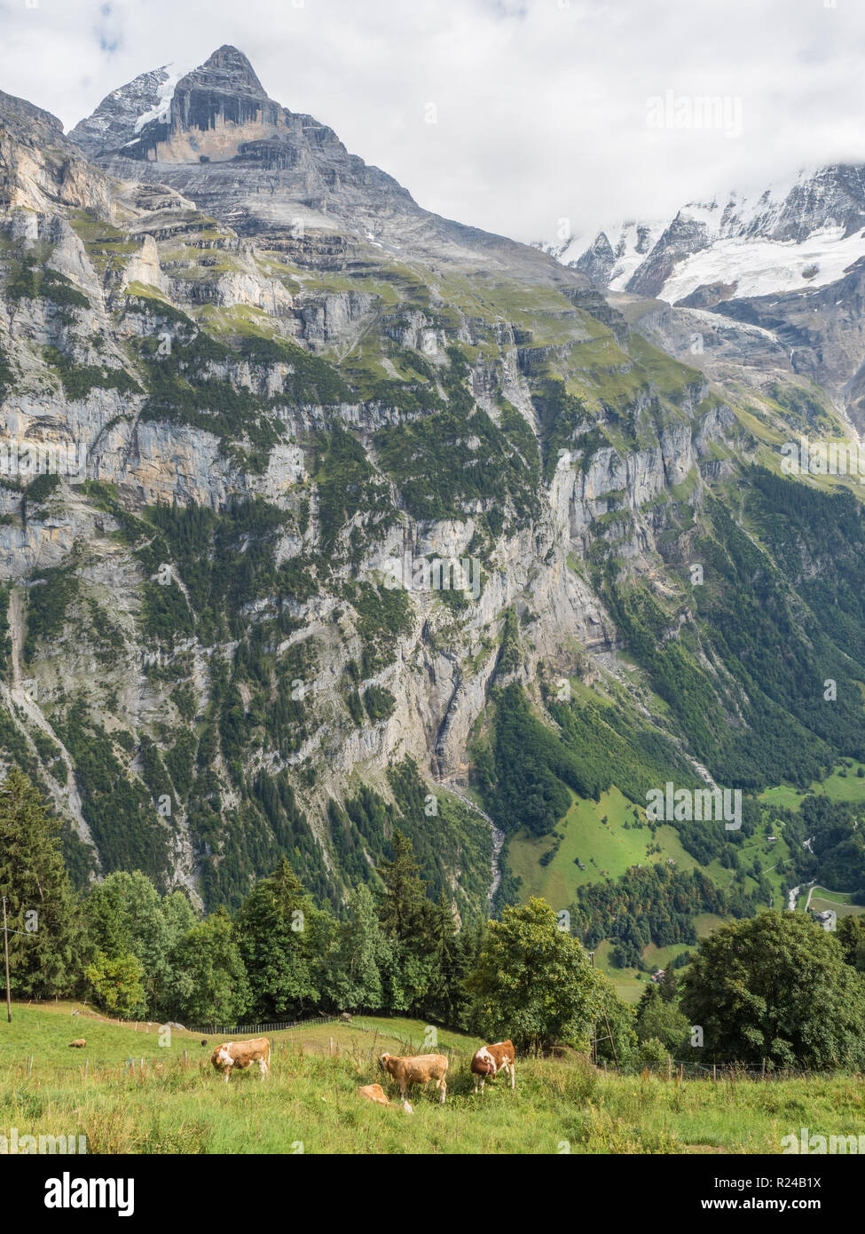 Swiss Alps, mountain scene, Switzerland, Europe Stock Photo - Alamy