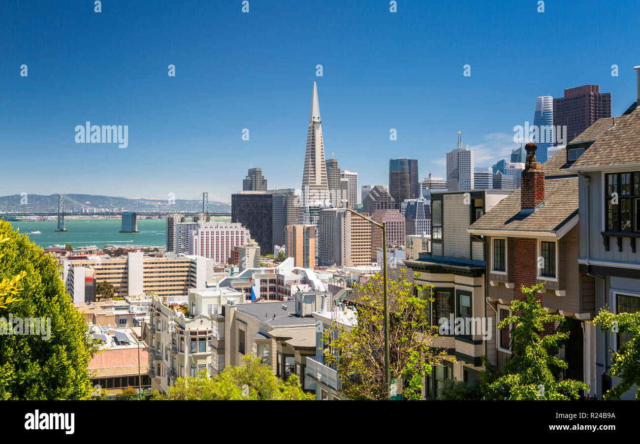 Pyramid bay tree hi-res stock photography and images - Alamy