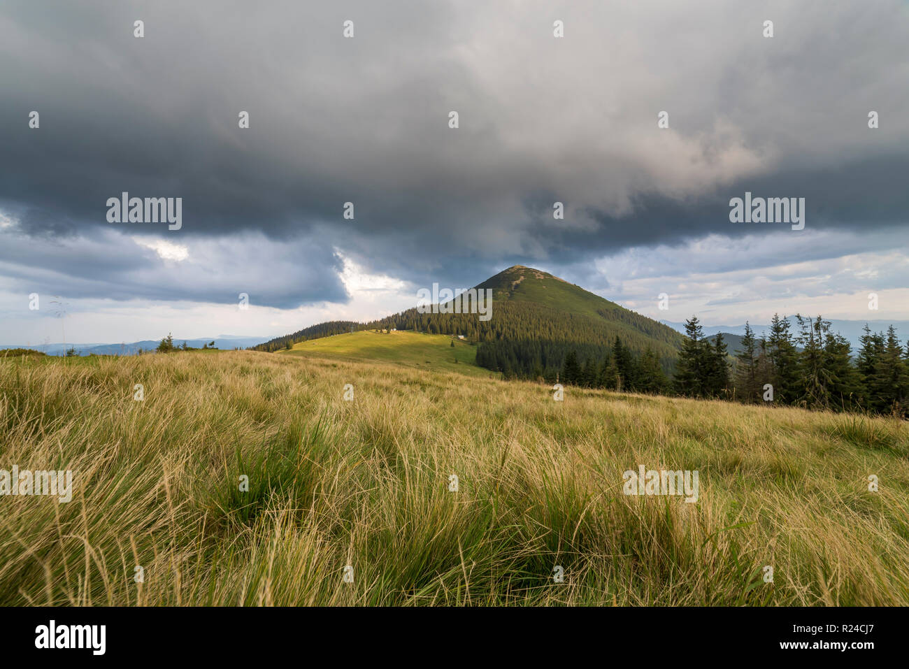 Panoramic view of green grassy valley, pine trees and rural small ...