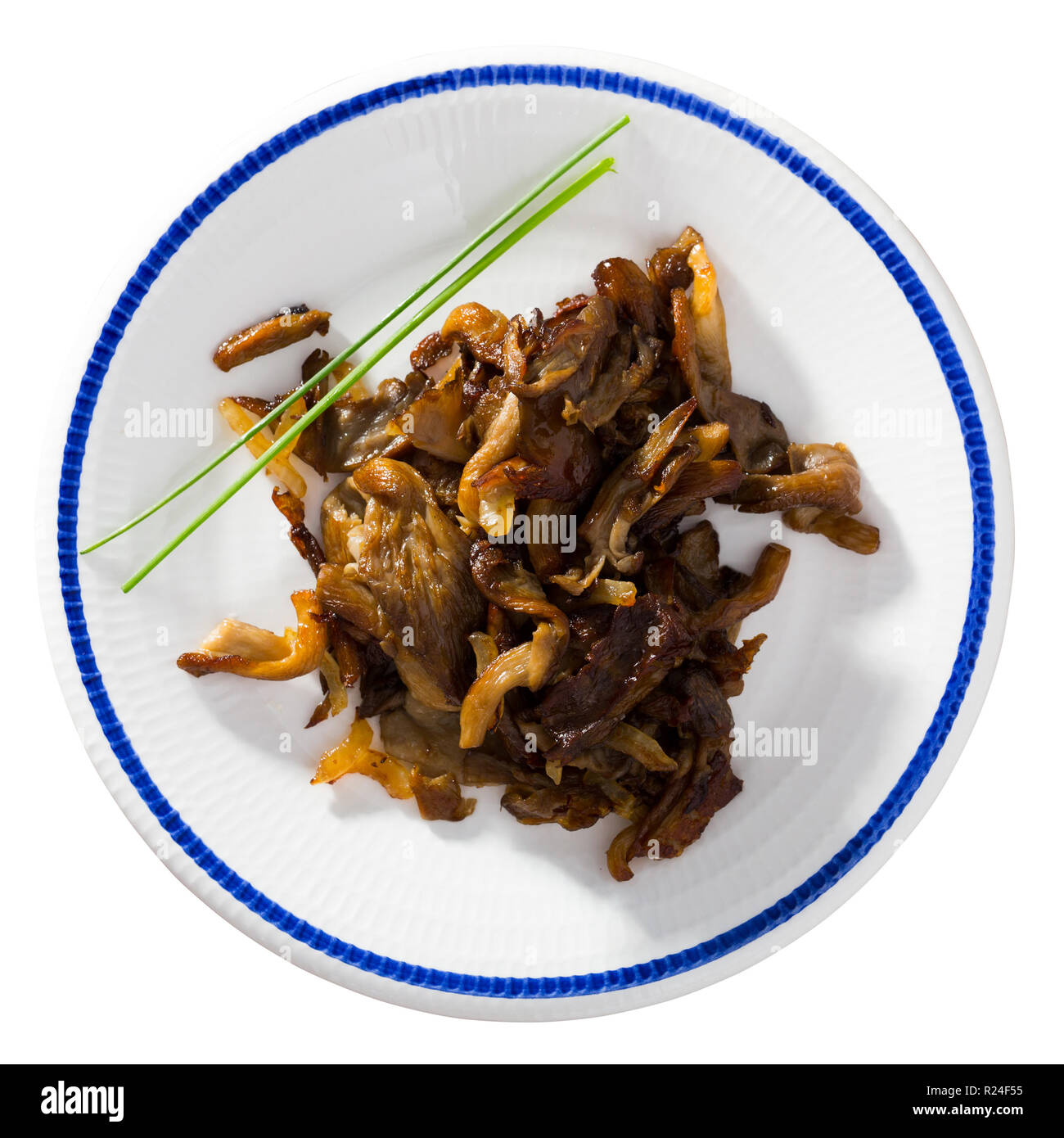 Cooked fried honey fungus mushrooms with onion and chives in white ...