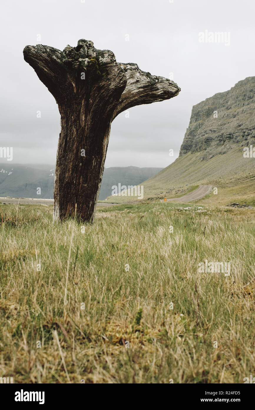 Upside down tree hi-res stock photography and images - Alamy