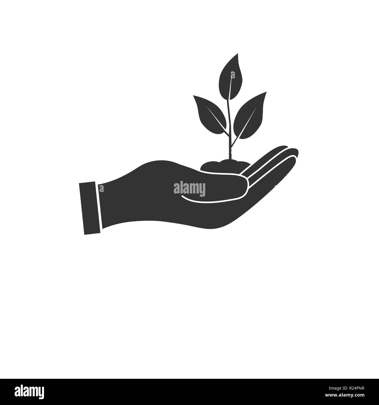 New growth plant leaves in spring Stock Vector Images - Alamy