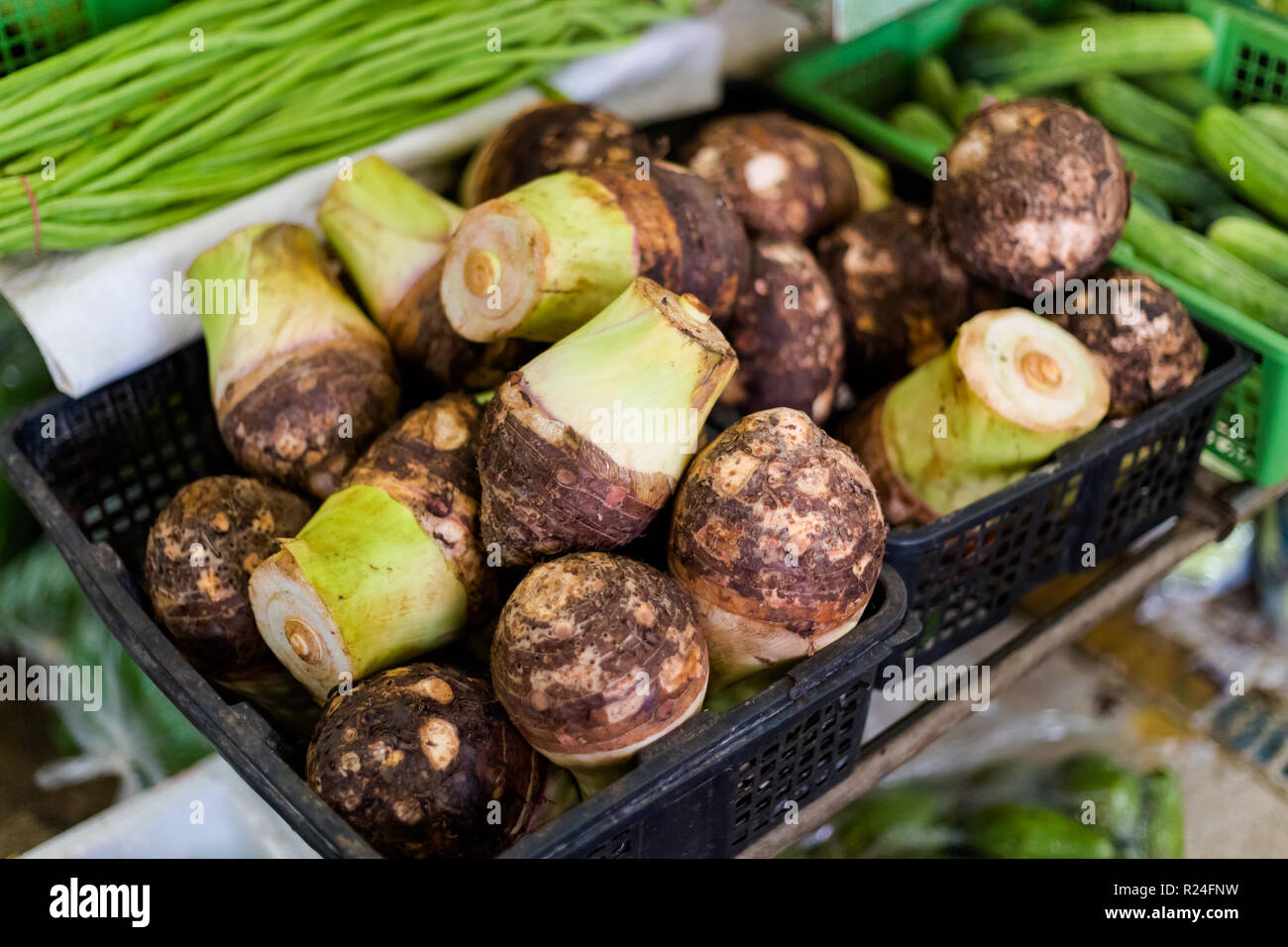 Taro stem hi-res stock photography and images - Alamy