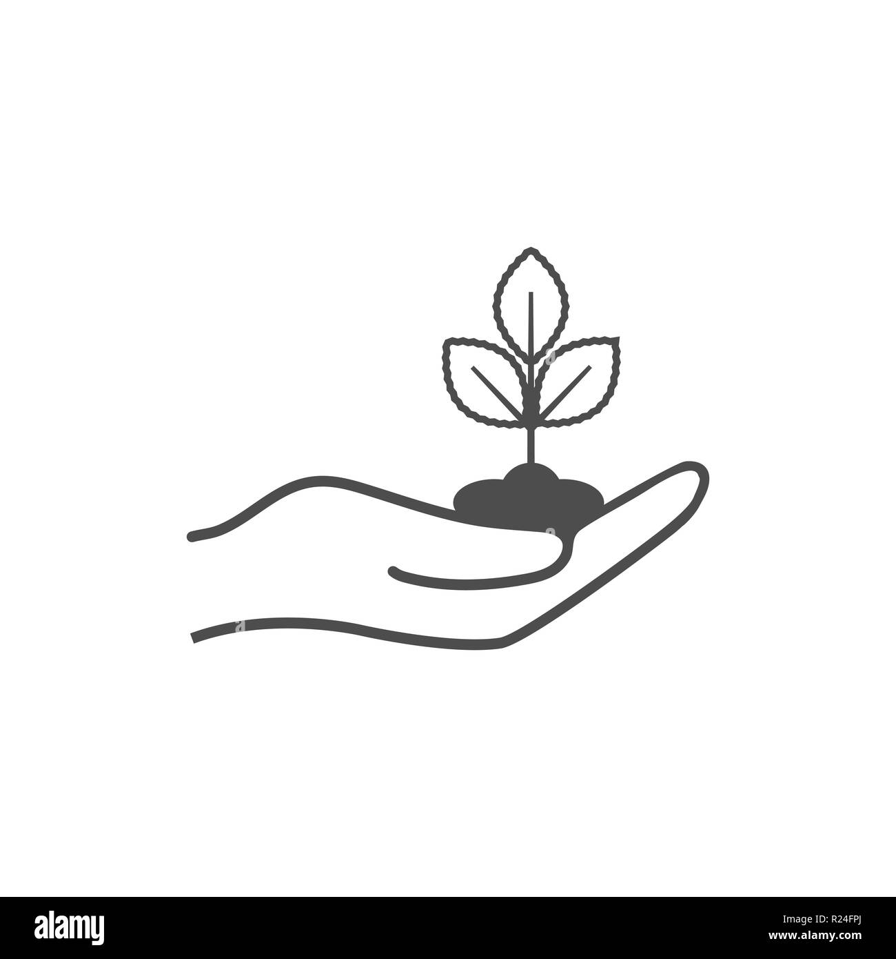 New growth plant leaves in spring Stock Vector Images - Alamy