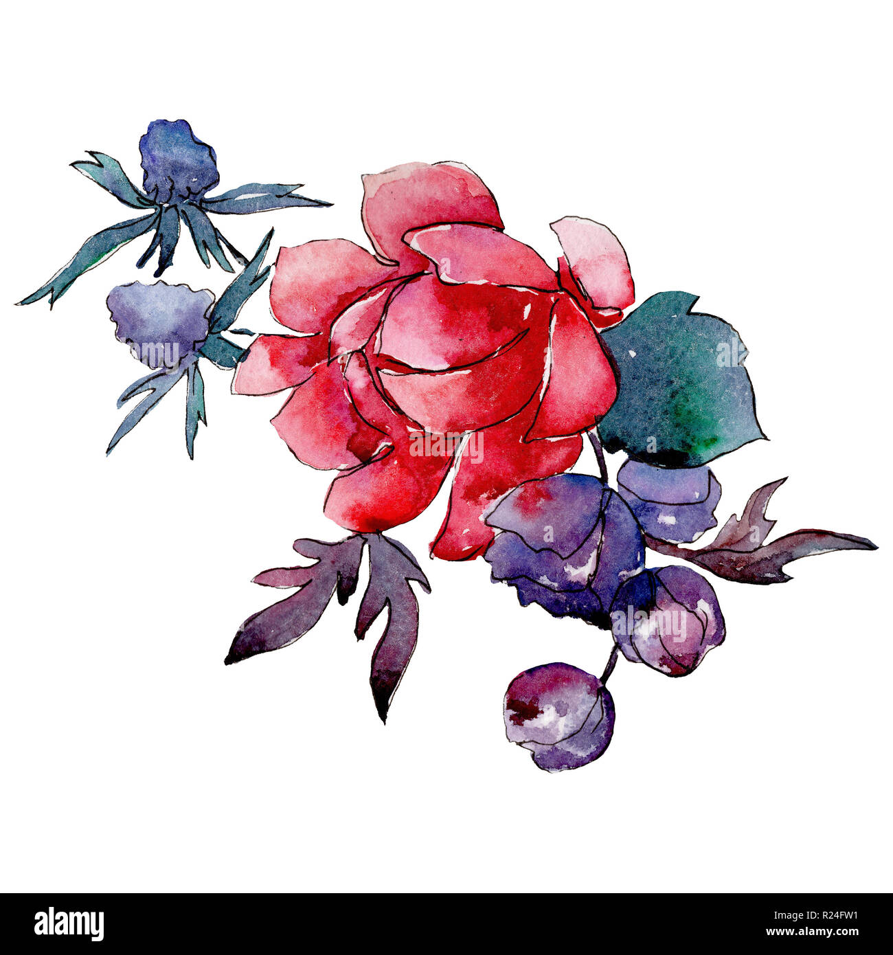 Red flower. Isolated flower illustration element. Background ...