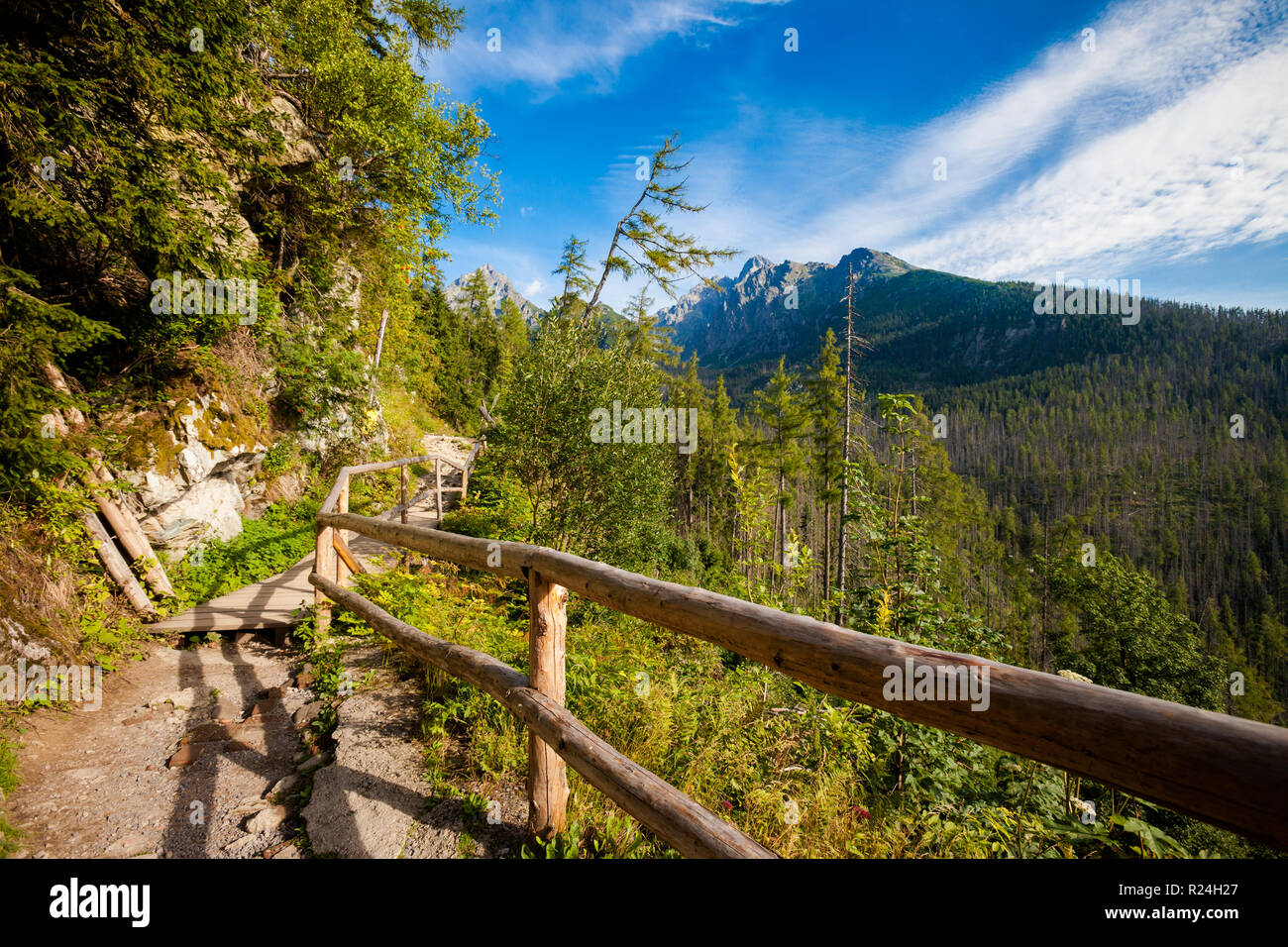 Beautiful Velka Studena Dolina - in slovakian High Tatra mountains ...
