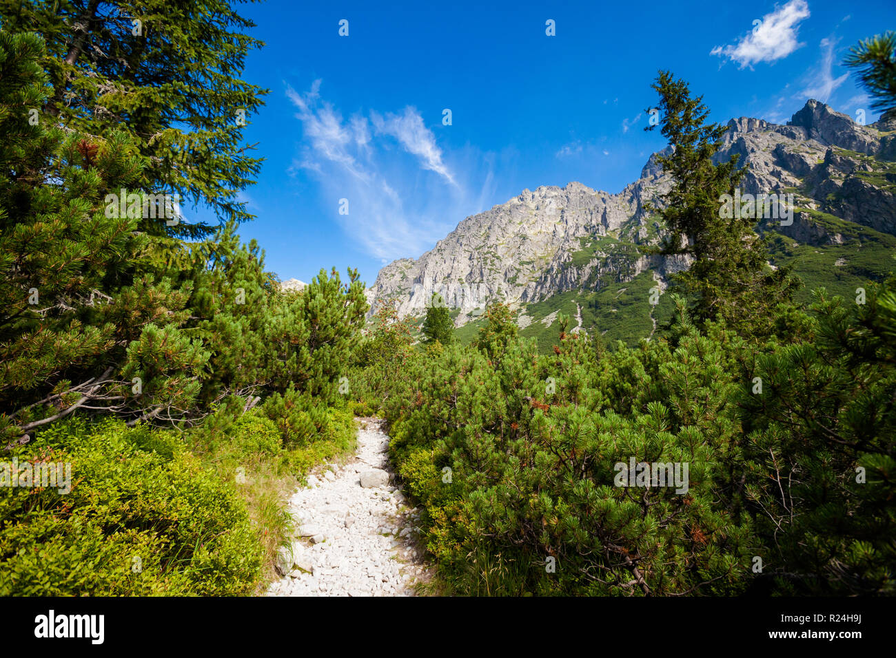 Beautiful Velka Studena Dolina - in slovakian High Tatra mountains ...