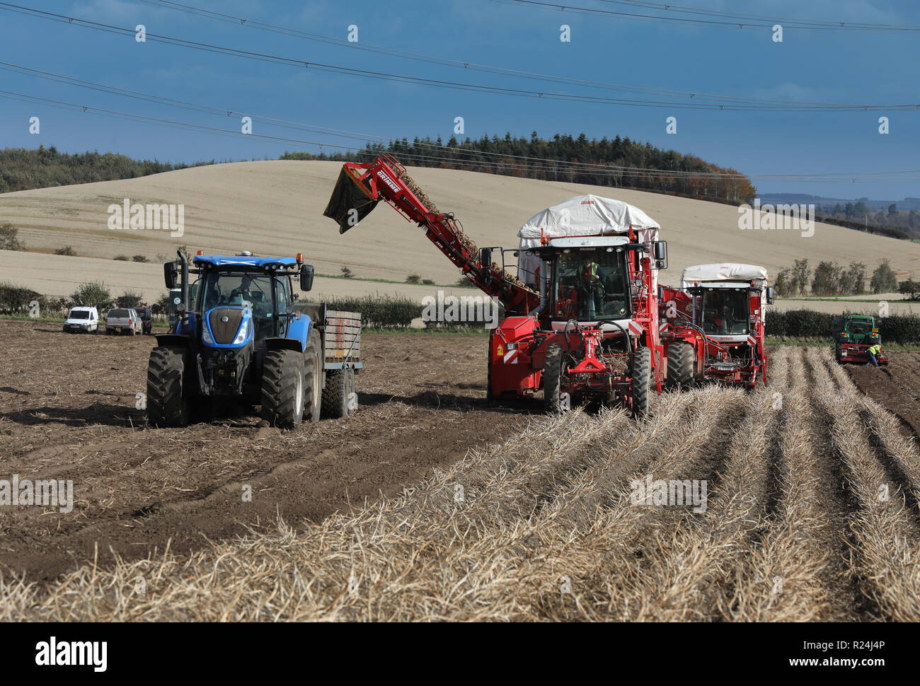 Potato picking uk hi-res stock photography and images - Alamy