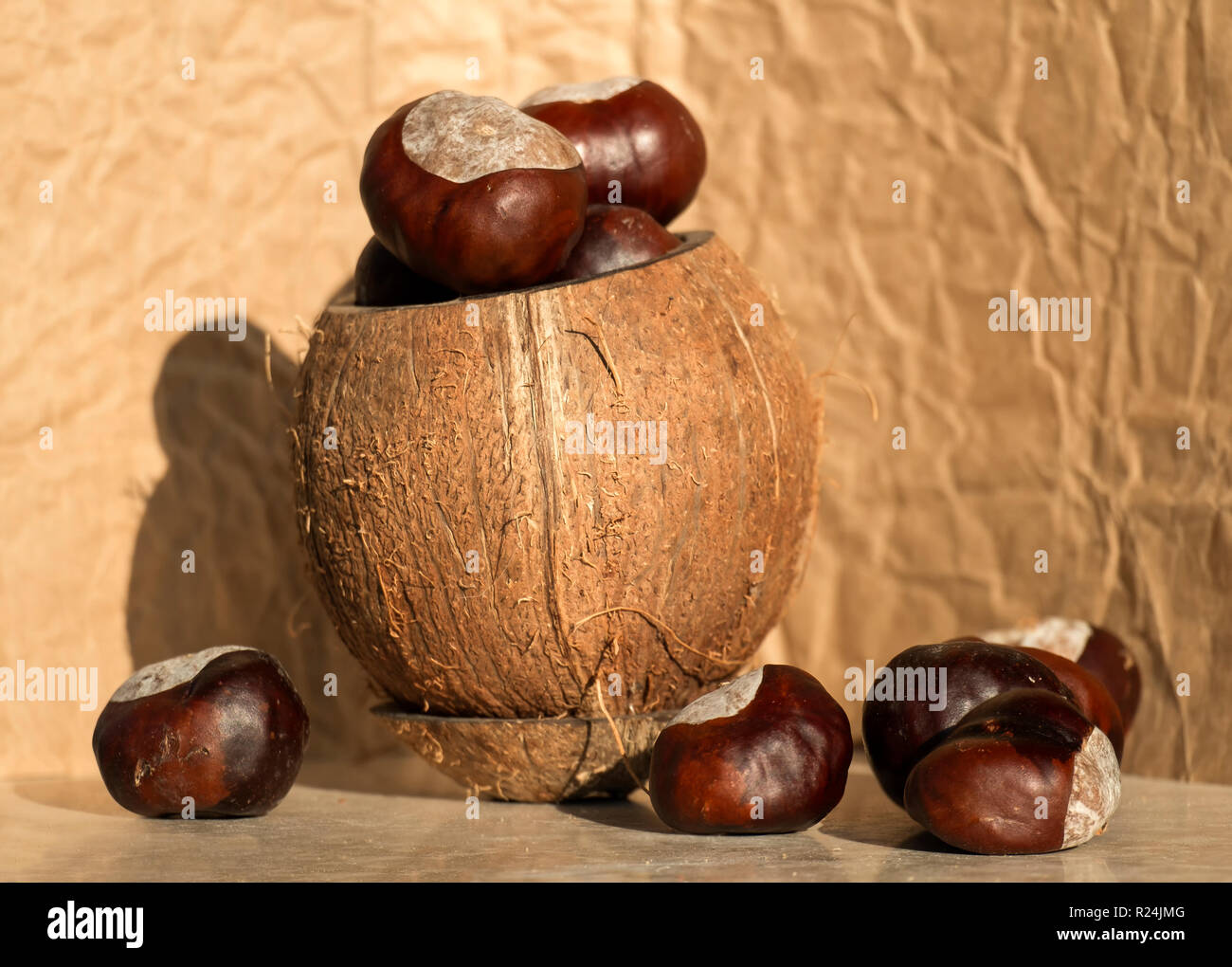 Conkers from a horse-chestnut in a vase from coconut shell (Aesculus ...