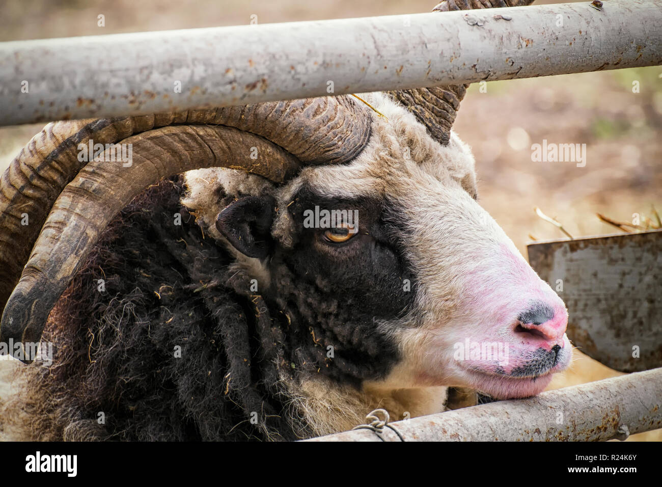 Jacob Breed's Instagram, Twitter & Facebook on IDCrawl