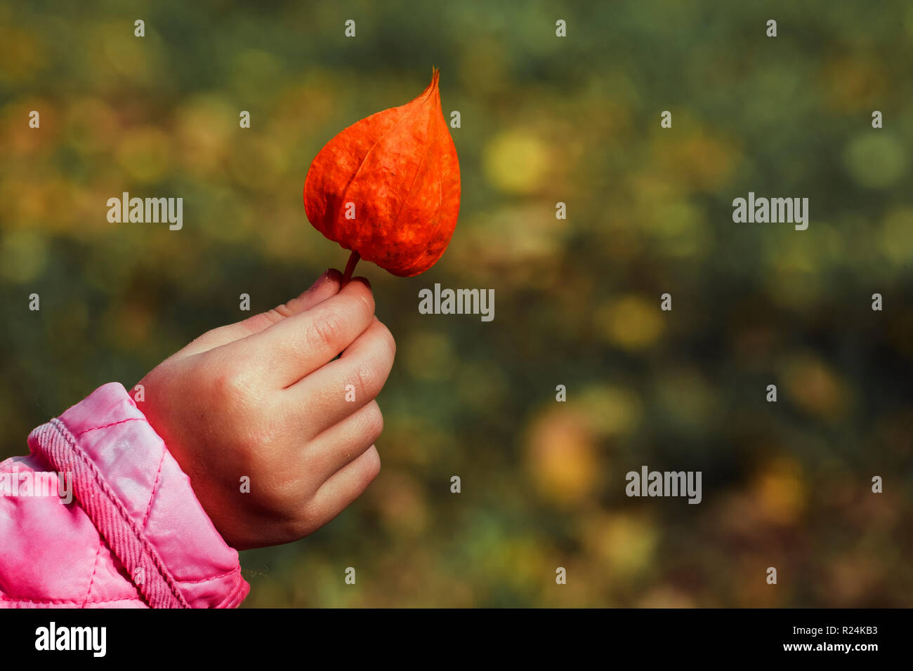 Childrens hands with plants hi-res stock photography and images - Alamy