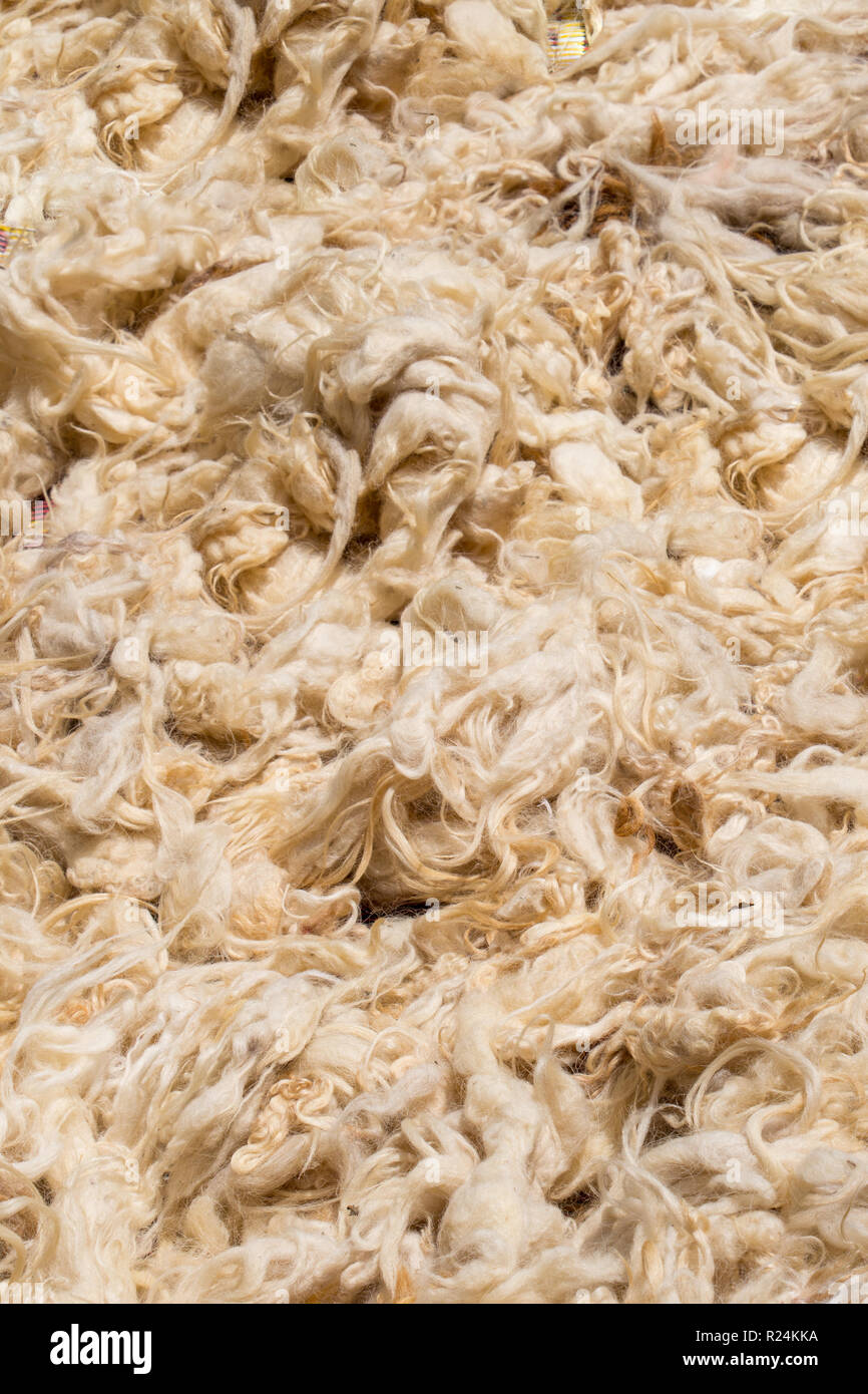 Heap of wool as a texture background Stock Photo - Alamy