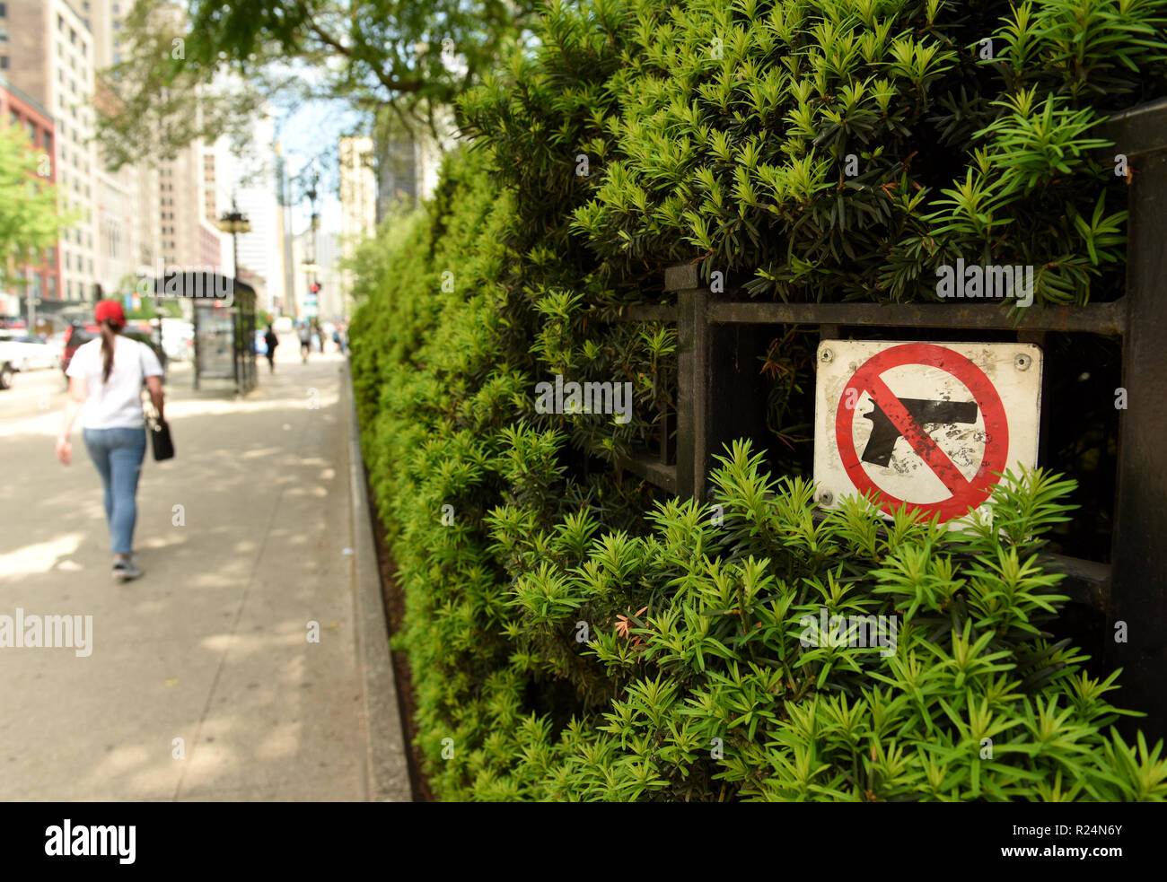 The Sign "No Gun" in Chicago, IL Stock Photo - Alamy