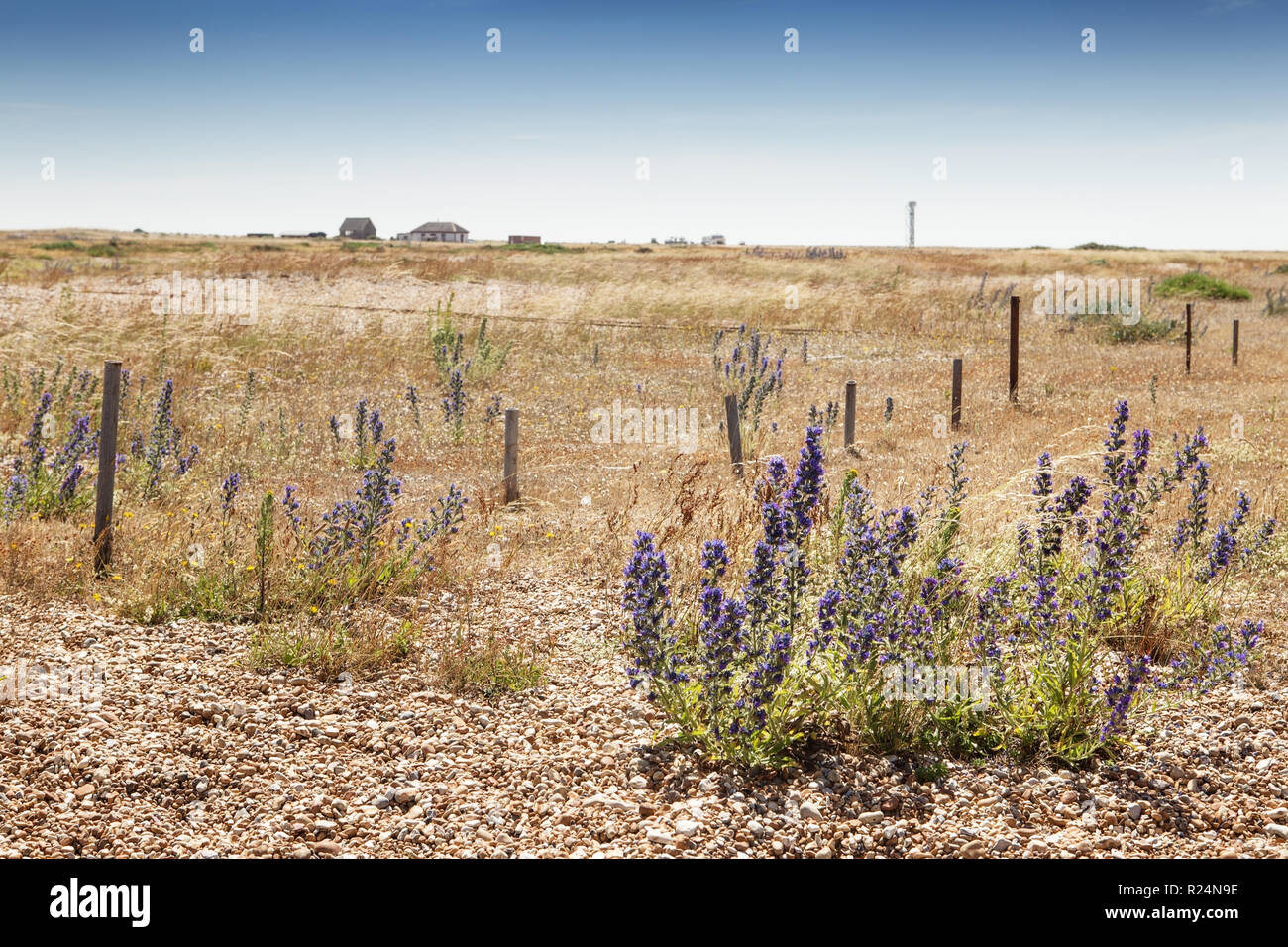 landscape image of Dungeness Marsh in england Stock Photo - Alamy