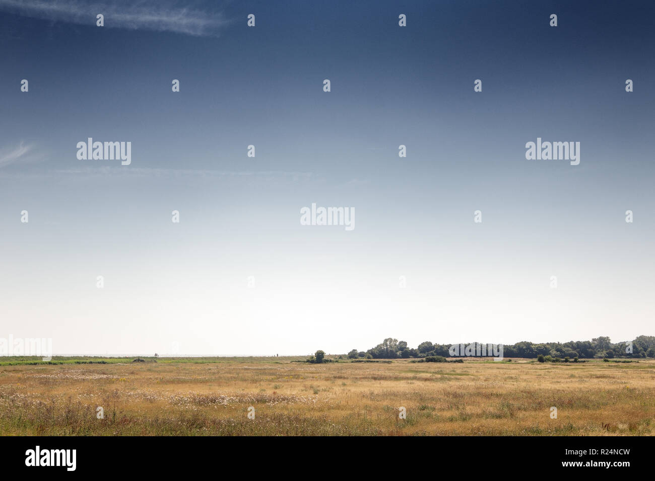 landscape images taken from a walk around the island of east mersea in ...
