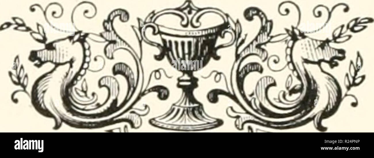 Elizabeth Morris High Resolution Stock Photography and Images - Alamy