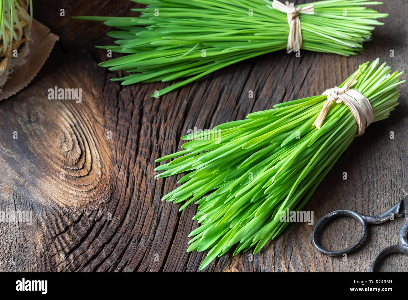 Fresh barley grass blades on a rustic background with copy space Stock ...