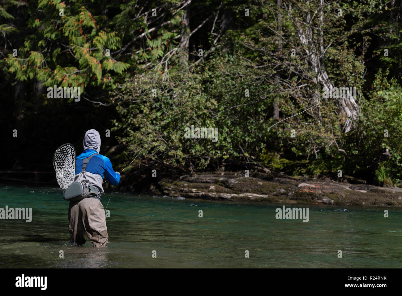 Fisherman fly fishing in river Stock Photo - Alamy