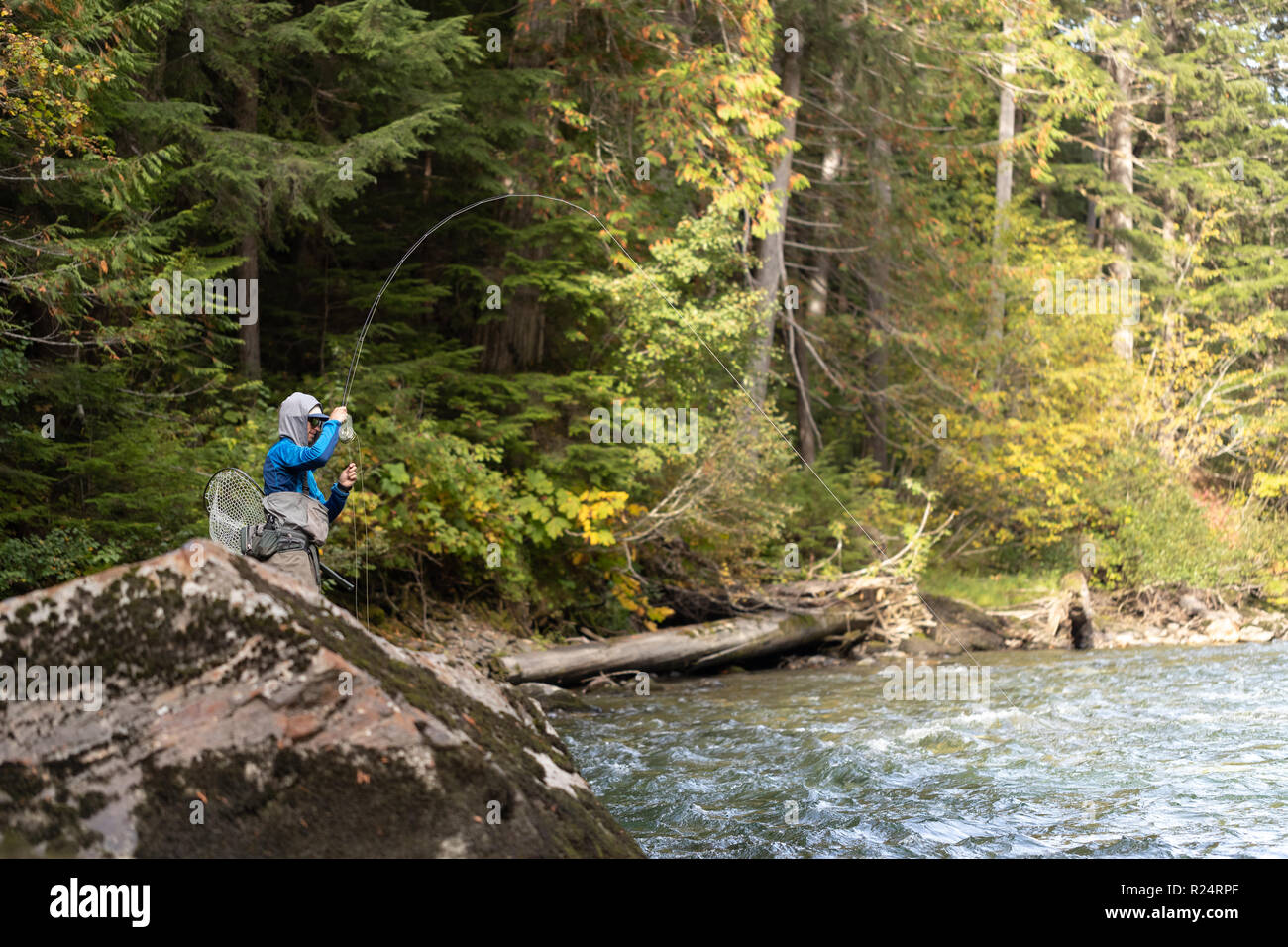 Tree river fly fishing hi-res stock photography and images - Alamy