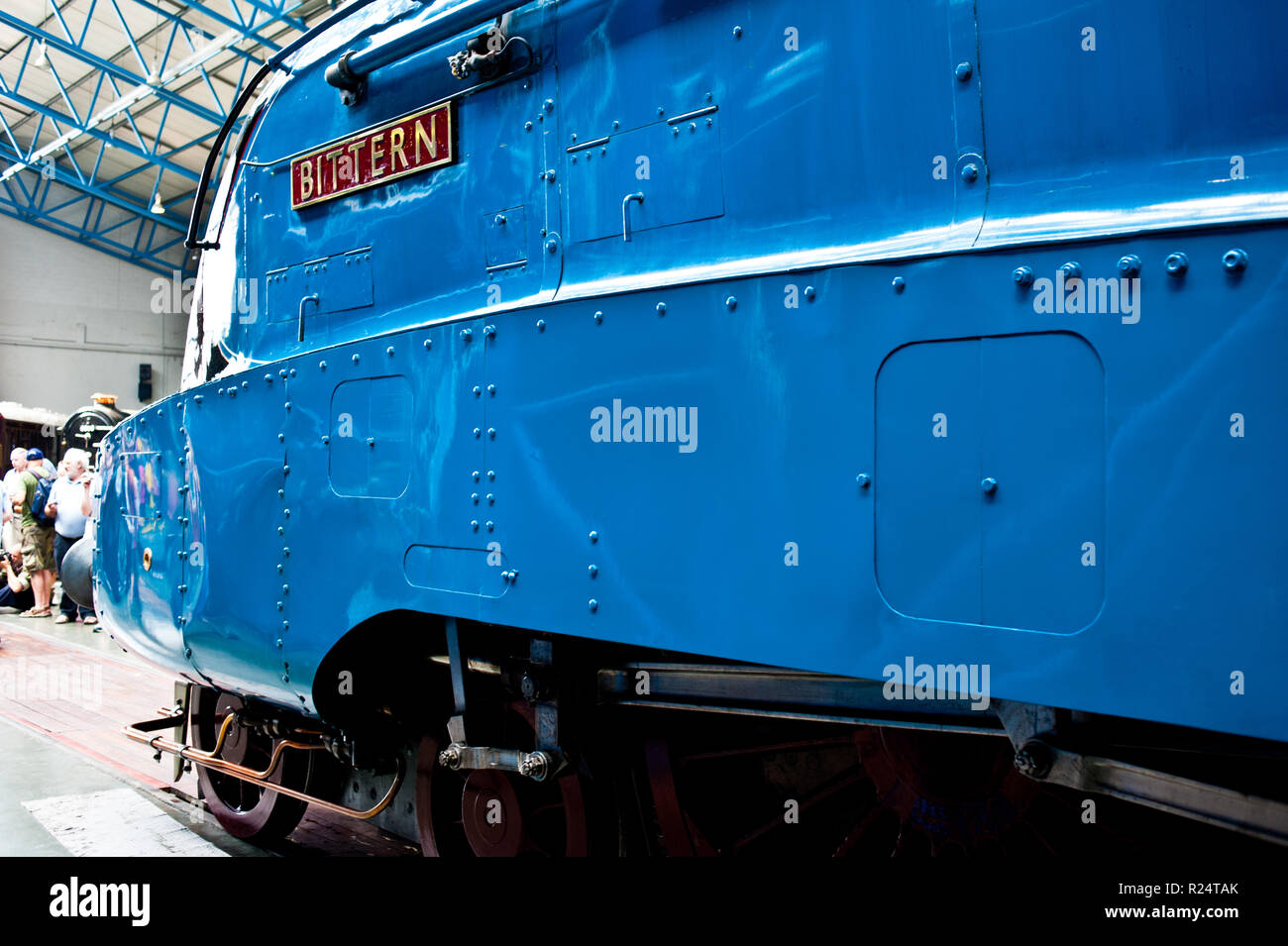 4464 bittern hi-res stock photography and images - Alamy