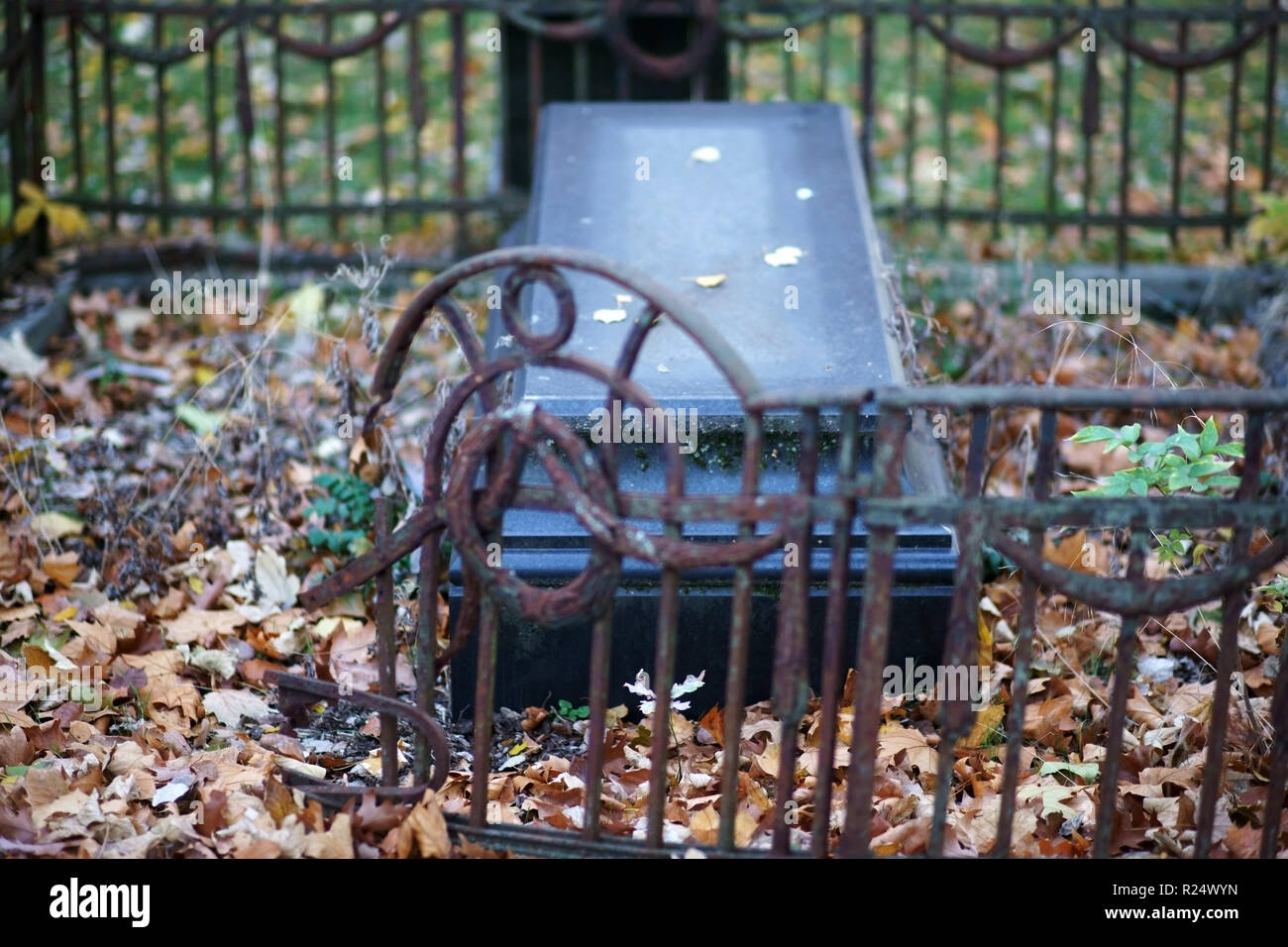 The plot of a grave with a dark marble coffin as well as crumbled iron ...