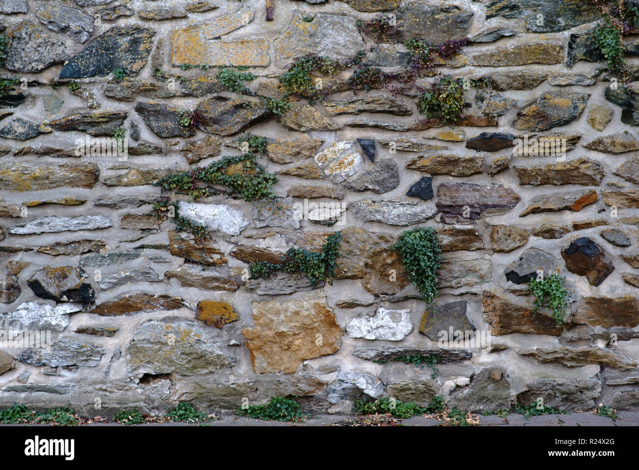 A rustic wall of staggered and broken stones with scattered succulent ...