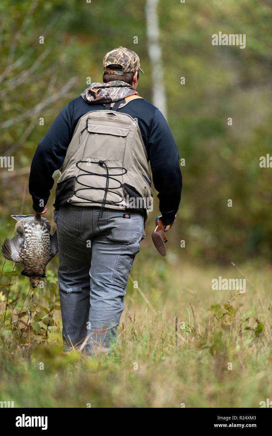 A ruffed grouse hunter in Minnesota on a nice autumn day Stock Photo ...