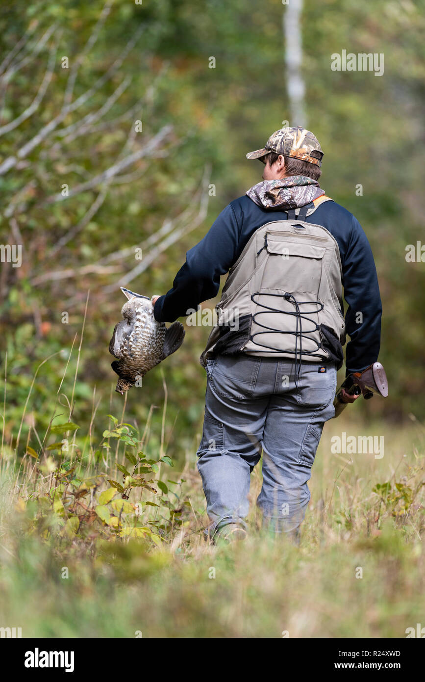 A ruffed grouse hunter in Minnesota on a nice autumn day Stock Photo ...