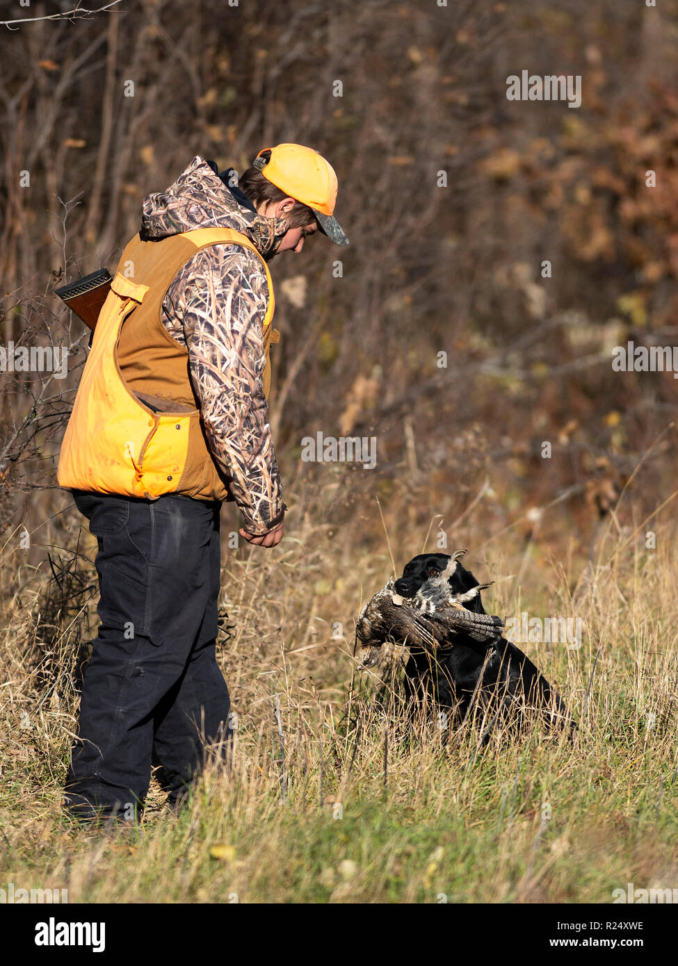 A ruffed grouse hunter in Minnesota on a nice autumn day Stock Photo ...