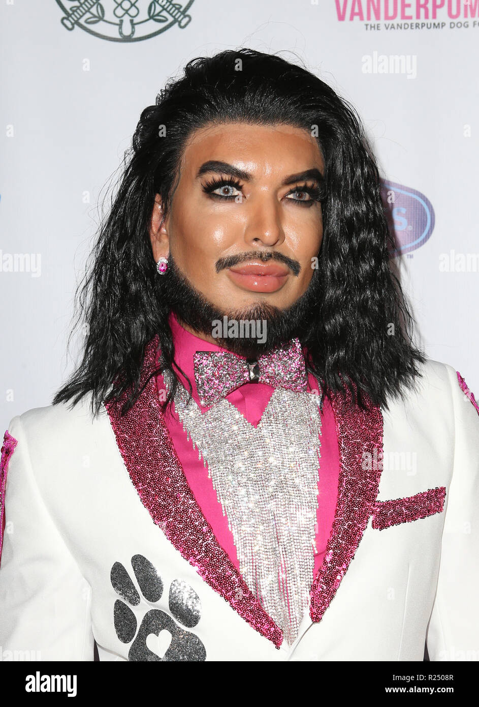 Los Angeles, Ca, USA. 15th Nov, 2018. Eddie Valentin at the 3rd Annual ...