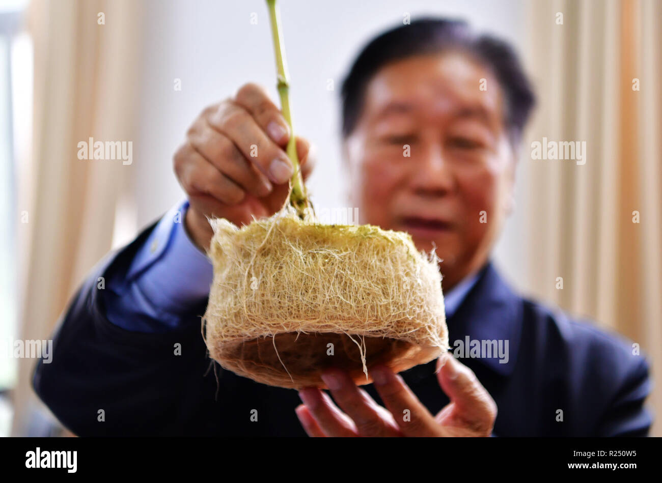Beijing, China's Fujian Province. 2nd Nov, 2018. Lin Zhanxi, professor ...