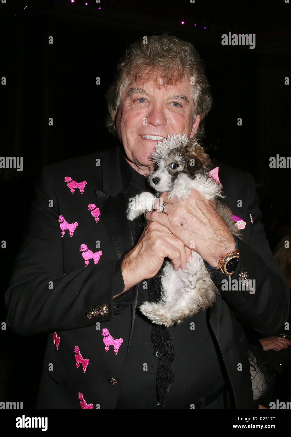 Los Angeles, Ca, USA. 15th Nov, 2018. Ken Todd at the ceremony during ...