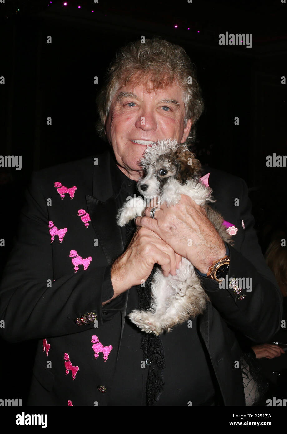 Los Angeles, Ca, USA. 15th Nov, 2018. Ken Todd at the ceremony during ...