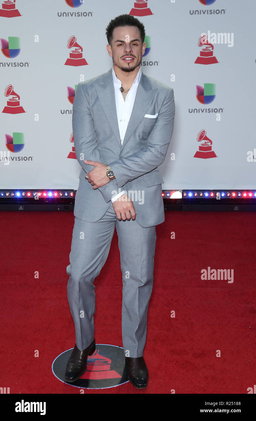 Las Vegas, NV, USA. 15th Nov, 2018. 15 November 2018 - Las Vegas, NV ...