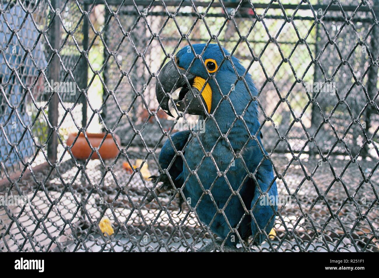 Bang Pra Waterbird Breeding Cent, Chonburi, Thailand. 8th Nov, 2018 ...